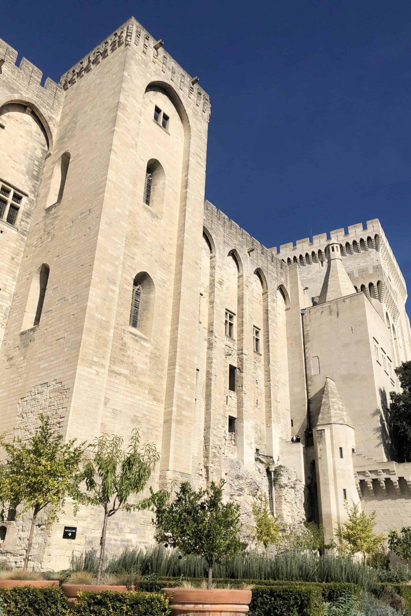 Essential Guide: Best Things to Do in Avignon (Provence)+ Vegan Spots ...